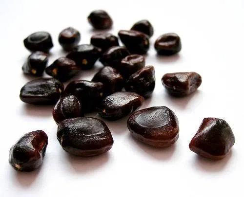 Tamarind Seeds | Tamar Hindi | Qarse Kamar | تمر ھندی | wt 100 gm ...