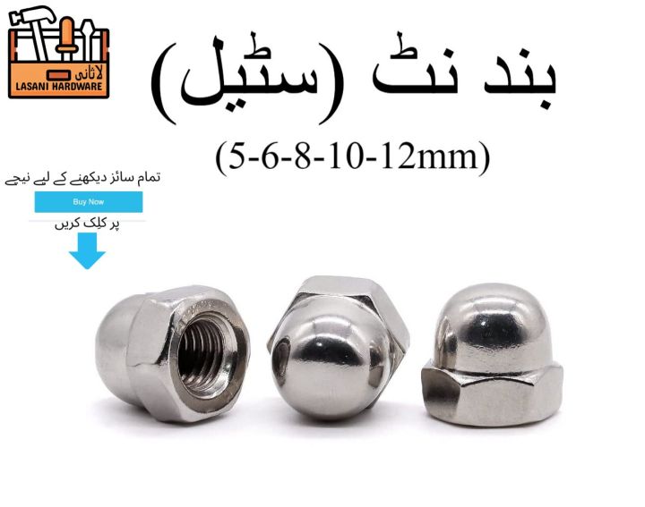 Stainless Steel Cap Nut (All Sizes Available) SS Cap Nut Hex Cap Nut Topi Nut | Daraz.pk