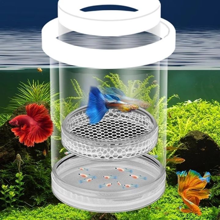 New Plastic Mesh Floating Hatching Box Transparent Shrimp Guppy ...