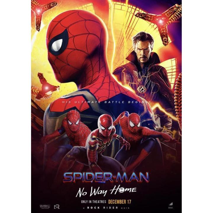 Spiderman Peter Parker The Avengers by the Marvel MCU 2.0 Multiverse ...