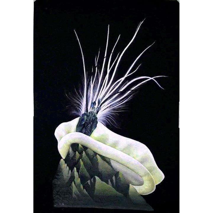 traditional cap of gilgit baltistan | Daraz.pk