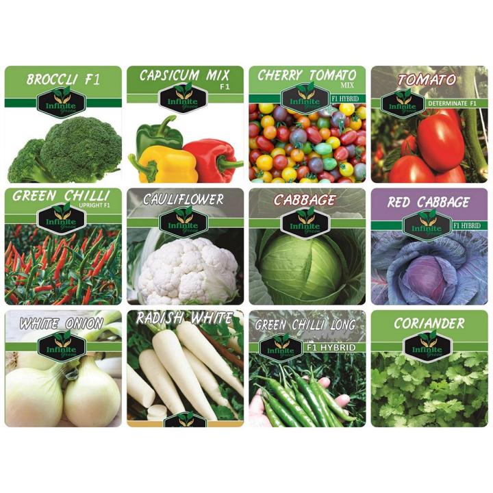 F1 Hybrid seeds Pack of 12 winter Vegetables seeds Kit F1 Hybrid (Total ...