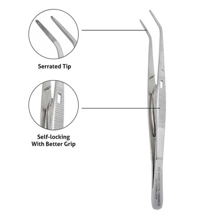 Professional Stainless Steel Dental Self-Locking Tweezer – London College Surgical Cotton ...