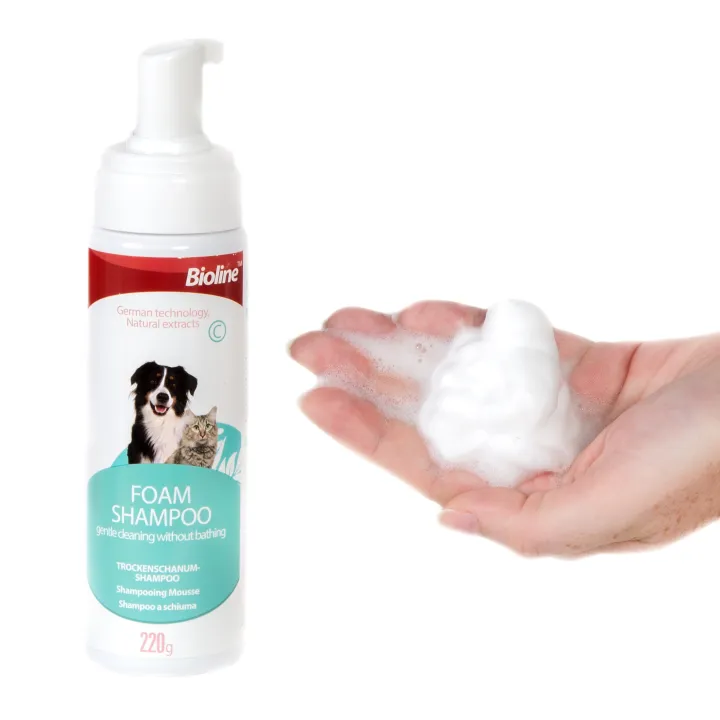 Bioline Dry Foam Shampoo 220G | Daraz.pk