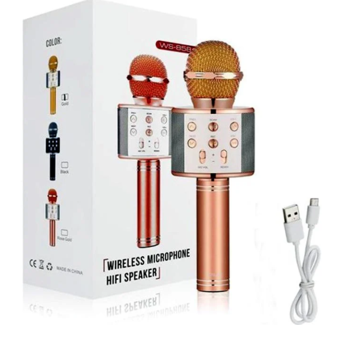 WSTER Wireless Microphone Hifi Speaker WS-858 | Daraz.pk