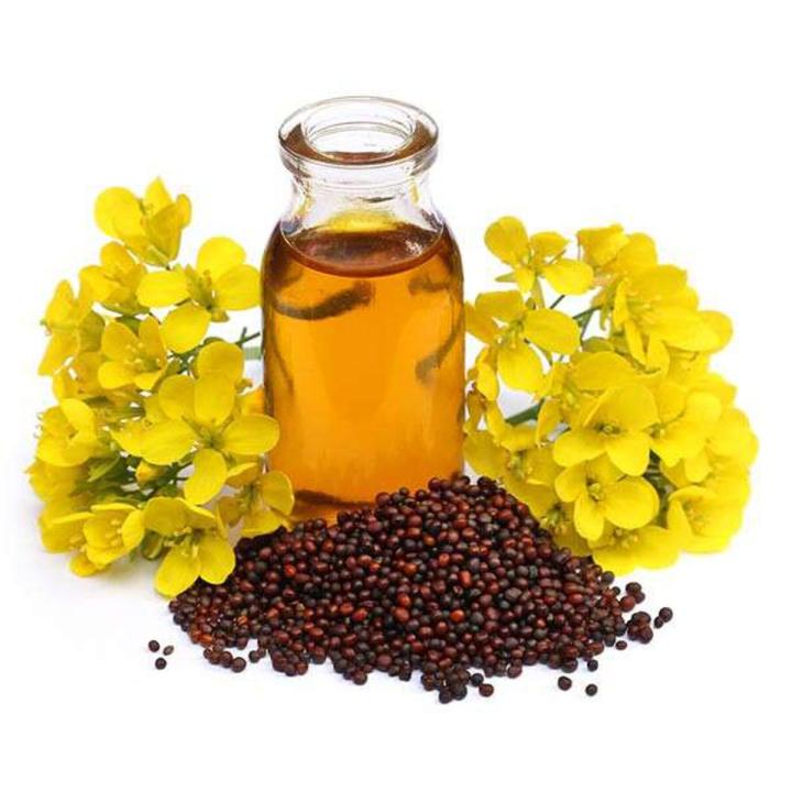 Sarsoo Mustard seeds for kitchen gardening | Daraz.pk