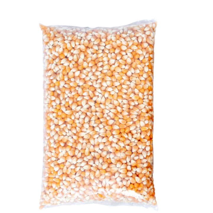 PREMIUM QUALITY POP CORN KERNALS 250G ,POP CORN MAKAI ,POPCORN SEEDS ...