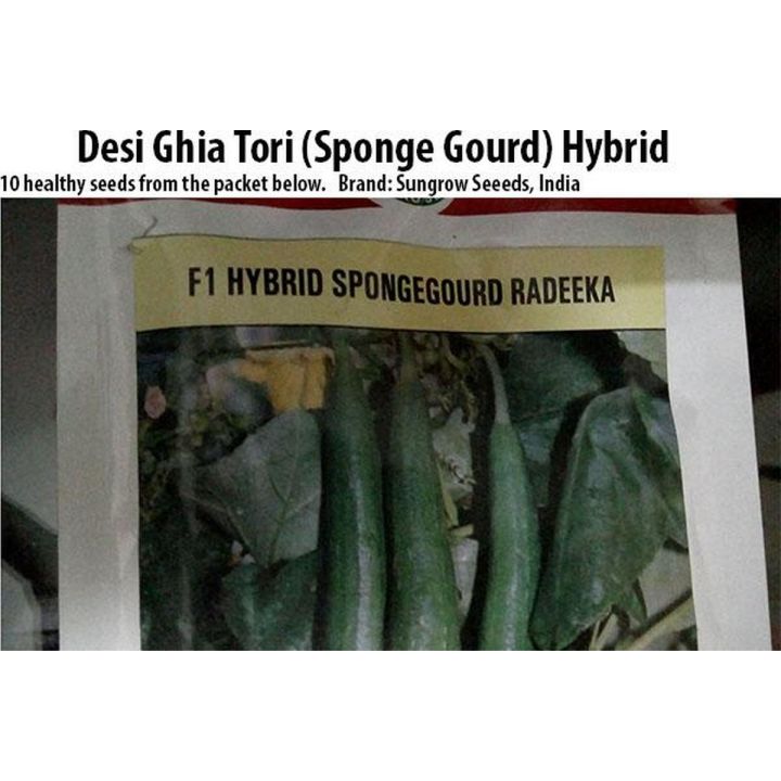 Sponge Gourd - Ghia Tori Seeds - Imported Hybrid Seeds - Excellent ...