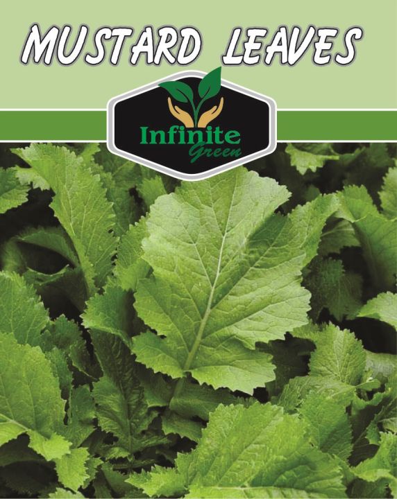 MUSTARD SEEDS (SARSON KA SAAG SEEDS) 800 PLUS SEEDS | Daraz.pk