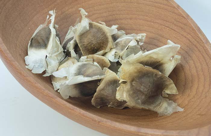 Pack of 10 Moringa / Sohanjna Seeds to grow with 100 percent ...