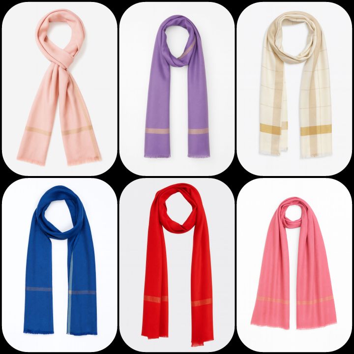 Zari 4 Border Stoller for Women – Elegant Soft Warm Shawl, Stylish ...