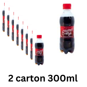 gourmet cola 300 ml carton pack of 2 | Daraz.pk