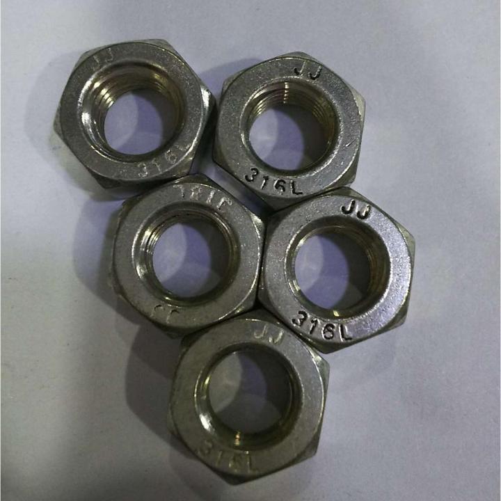Stainless Steel SS 316L M10 Nut (Pack of 10 nuts) | Daraz.pk