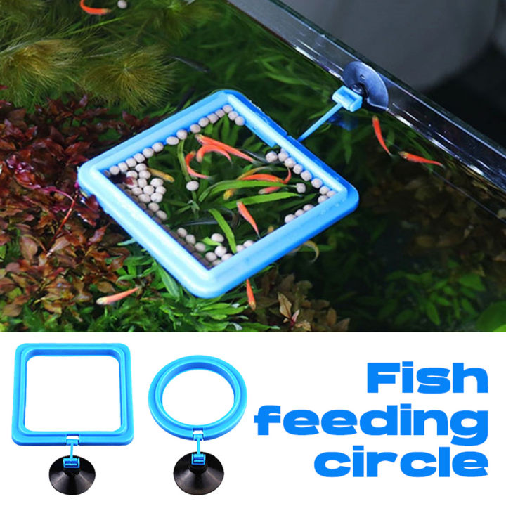 Aquarium Fish Food Tray Feeder Food Pet Supplies Buoyancy Circle Floating Station Fish Feeder ...