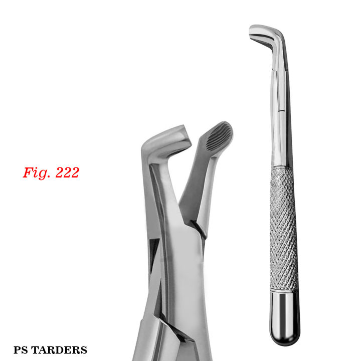 Premium High Quality Stainless Steel Dental Tooth Extracting Forceps ...