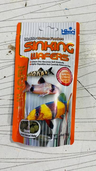 Sinking Wafers 110g 100% Original Hikari Fish Food | Daraz.pk