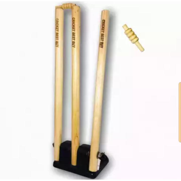 Hard Ball Cricket Spring Back Cricket Stumps – 28in Senior Stumps ...