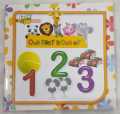 Junior Mini Learning Card Books – Pack of 10 | ABC, abc, 123, Alif Bay ...