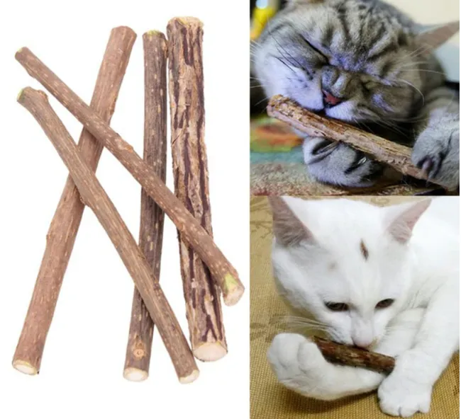 Five Pack Silvervine Natural Catnip Chew Sticks for Cats Teeth Cleaning ...