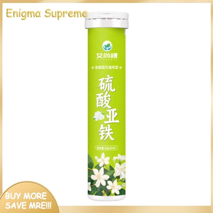 Enigma- Nutrient Ferrous Sulfate Tablet 22pcs Ferrous Sulfate ...