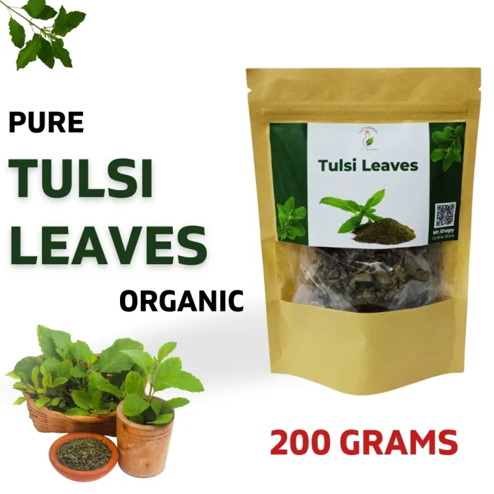 Holy Basil Leaves Organic | Organic Tulsi Leaves | Natural Tulsi Leaves ...