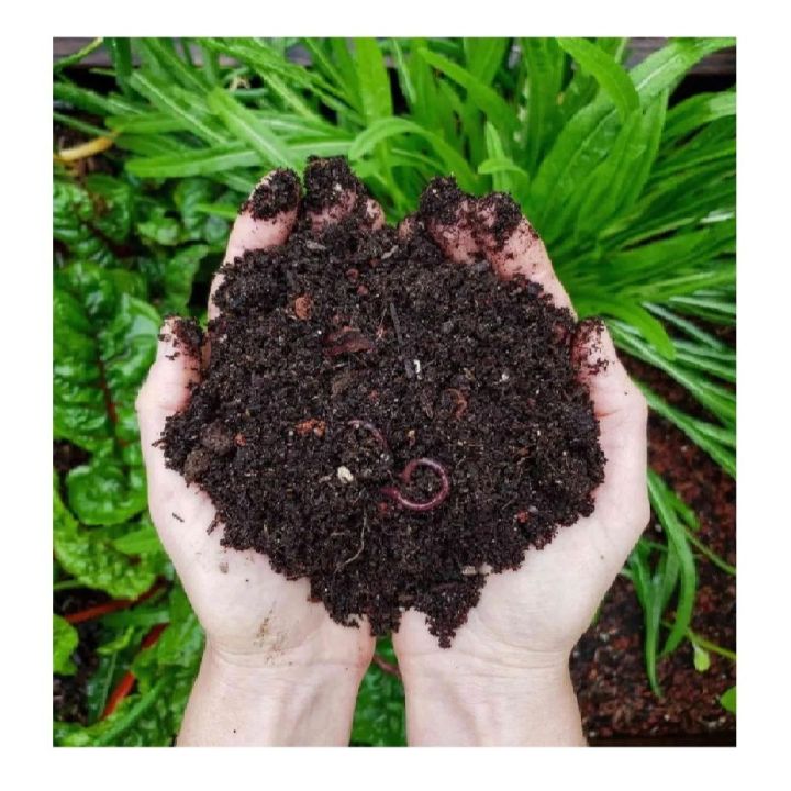 Organic compost For healthy plants growth (5KG) BY SSM TRADER | Daraz.pk