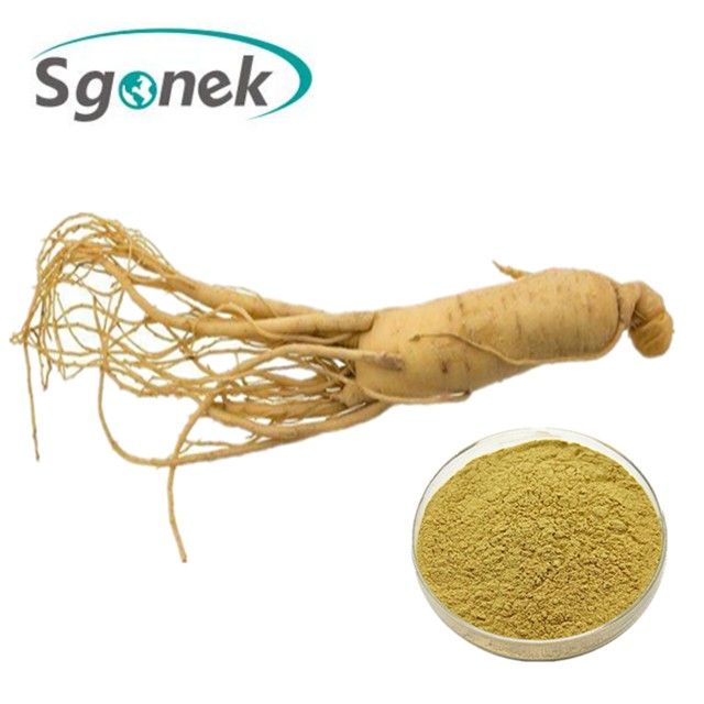 Wholesale free sample American Red Natural Fine Powder 250 gm | Daraz.pk