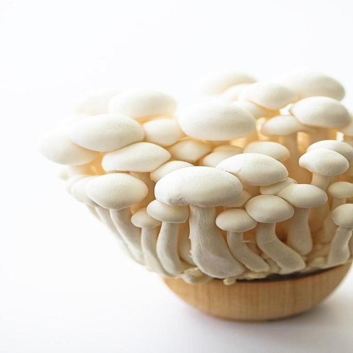Enoki Mushroom Spawn Home Gardening | Daraz.pk
