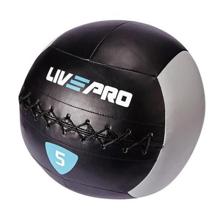 Live Pro Wall Ball LP8100 05KG | Daraz.pk