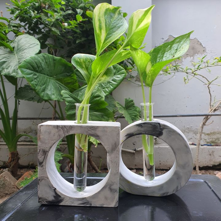 Set of 2 Handmade Glass Tube Propagation Vases - Minimalist, Succulent ...