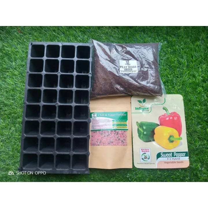 Colored Capsicum Growing Kit / Colored Capsicum seeds starter Kit ...