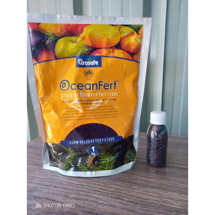 Ocean Fert Granular Seaweed Fertilizer 100 Gram - Made in New Zealand ...