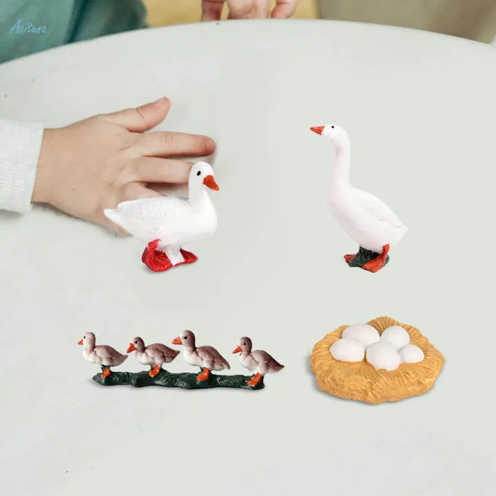 Goose Life Cycle Model Girls for Age 3 to 6 Science Playset Cognitive ...