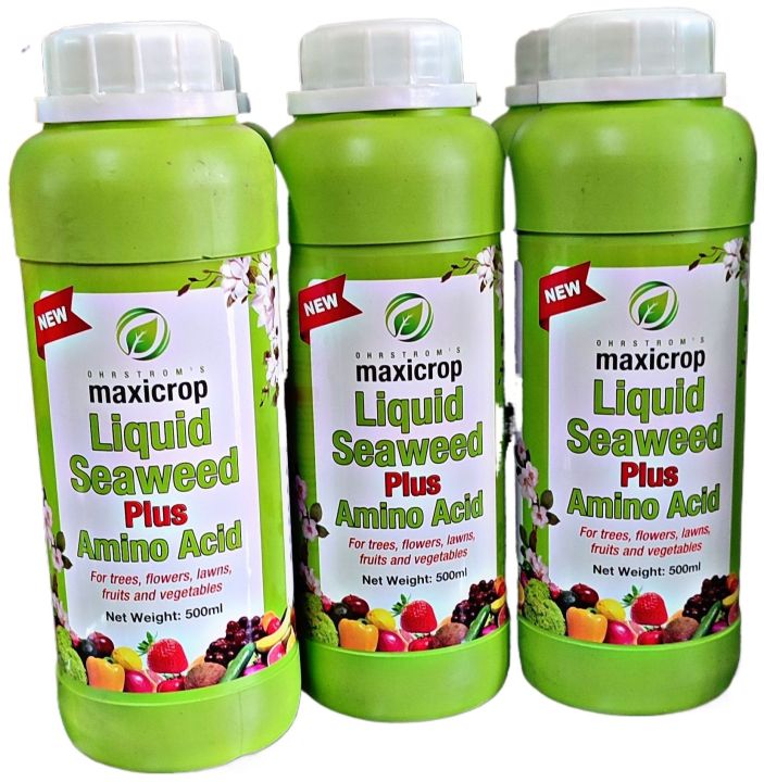 Maxi Crop Liquid Seaweed Fertilizer with Amino Acids (500ML) – Boosts ...