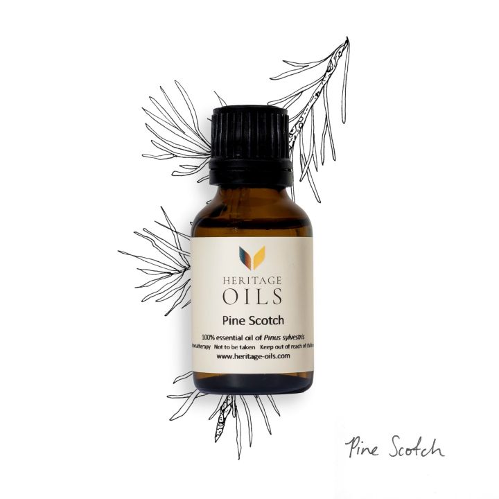 Pine Scotch Essential Oil | Daraz.pk