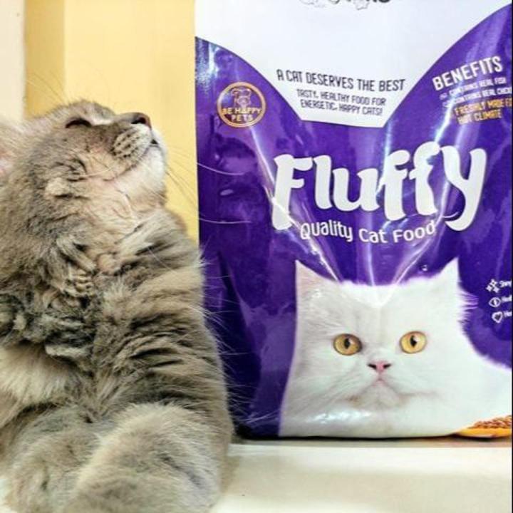 Fluffy Cat Food – 1.2 KG | Daraz.pk