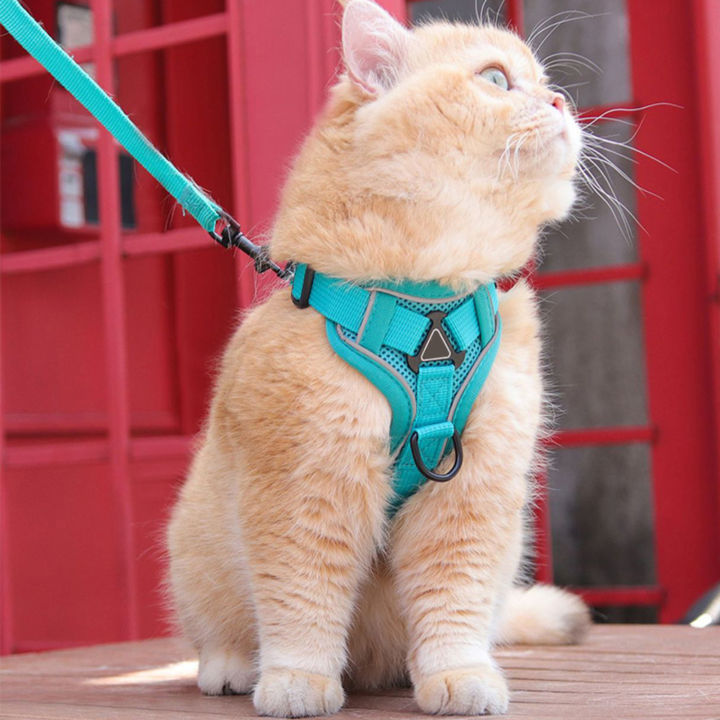 Cat Backpack with Leash Reflective Cat Harness Leash Set Escape Proof ...