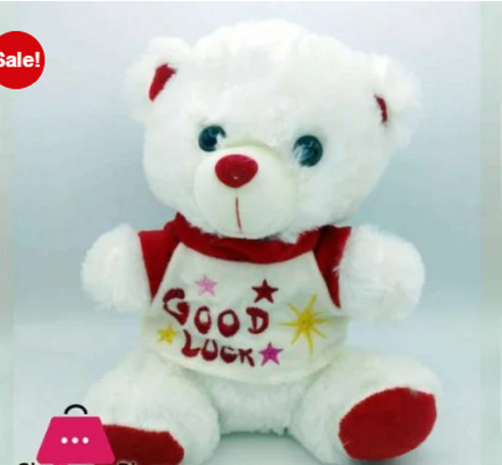 Stuff Teddy Bear Good Luck 25CM | Daraz.pk