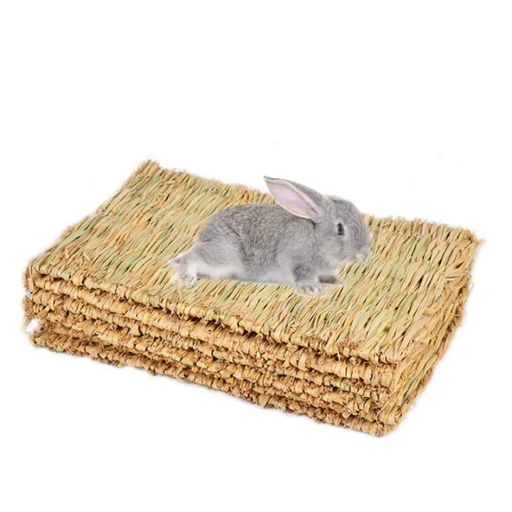 NYT Rabbit Matgr Mats For Rabbitssafe & Edible Rabbit Mats For ...