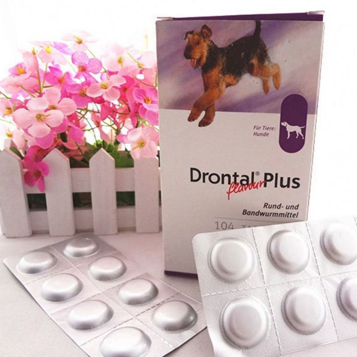 Drontal Plus - Dog Deworming - Tablets | Daraz.pk
