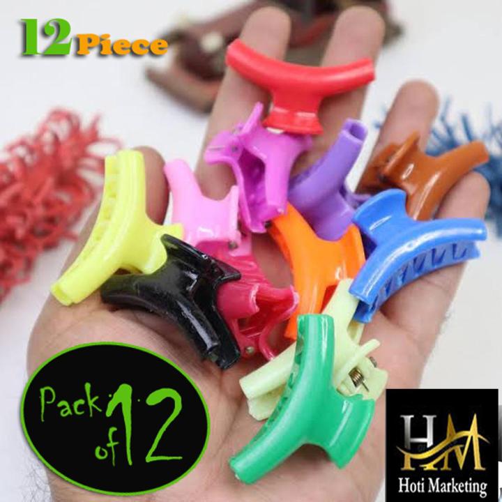 Lesto 12 pieces small Plastic Hair clips catcher | Daraz.pk