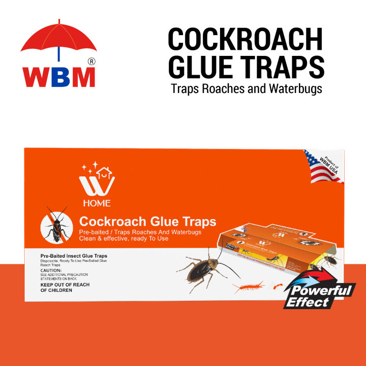 WBM Cockroach Glue Trap Sticky Paste | Cockroach Killer Gel | Daraz.pk
