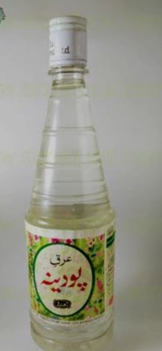 ARQ PODINA 800ML | Daraz.pk: Buy Online at Best Prices in Pakistan | Daraz.pk