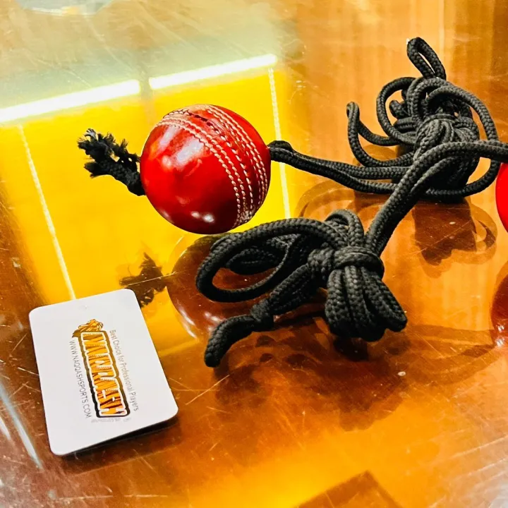 hanging strike hard ball/ practice hard ball by naqqash sports | Daraz.pk