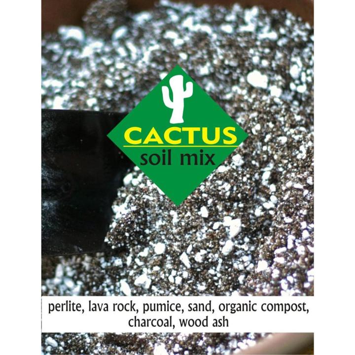 3 Kg - Professional Cactus Soil Mix Compost For Cactus Succulent | Daraz.pk