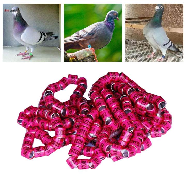 100 Pieces Pigeon Dove Leg Rings 2024 Identify Bands Sturdy Birds Foot ...