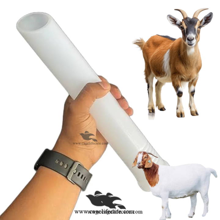 Small Pipe Animal Drenching Tube – For Goats & Sheeps ( Small Animals ...