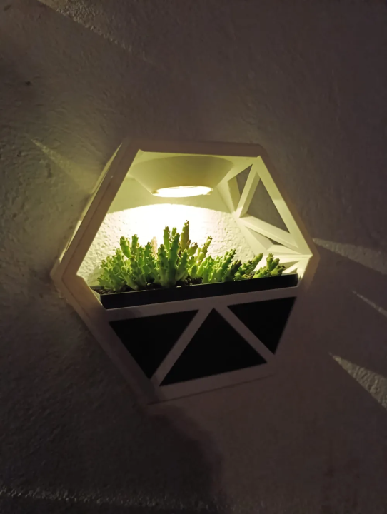 Hexagonal Wall Planter – Modern Geometric Wall-Mounted Plant Pot ...