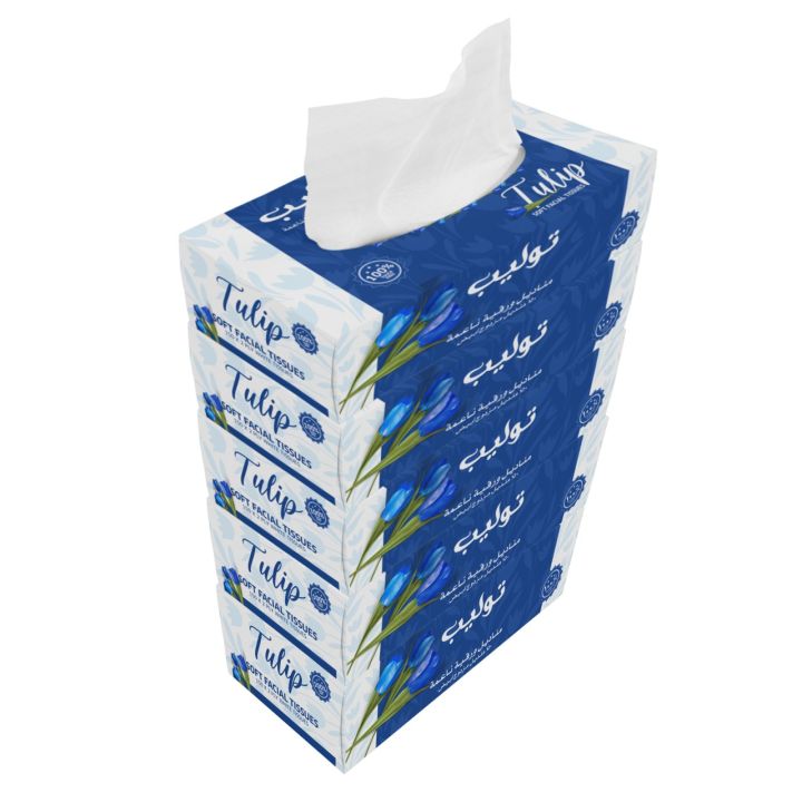 Pack of 5 Tissue Boxes – Multi-Purpose Tissue Box Holder for Home, Car ...