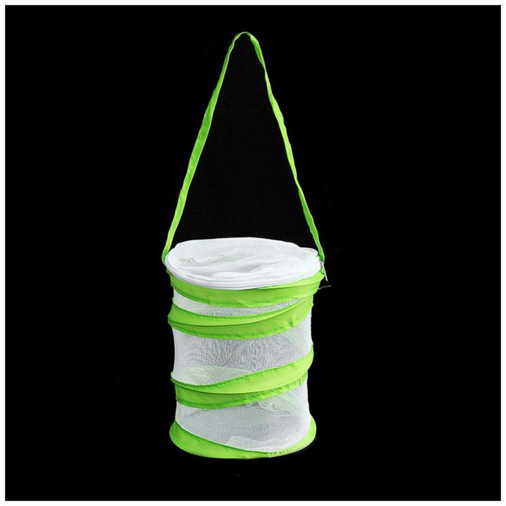 EITGZWAS Small Praying Mantis Stick Insect Butterfly Pop-up Cage ...